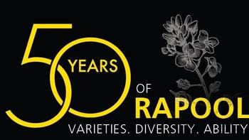 Rapool aniversează 50 de ani